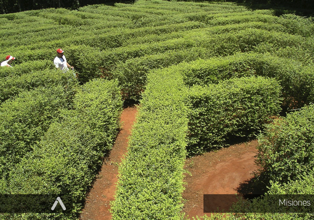 6 laberintos imperdibles en Argentina – Blog Alquiler Argentina